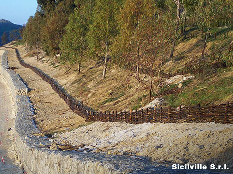 Opere di Ingegneria Naturalistica: Scopriamole Insieme